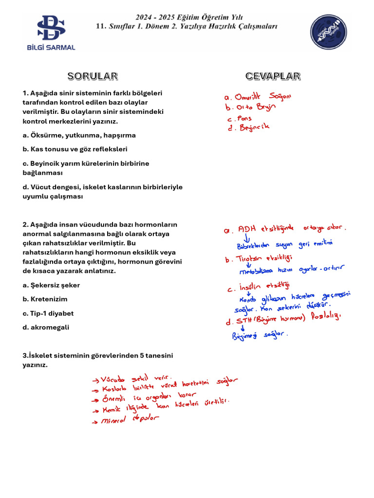 11 Cevap Anahtarı | PDF
