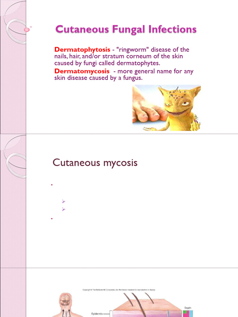 dermatophyte | PDF | Fungus | Mycology