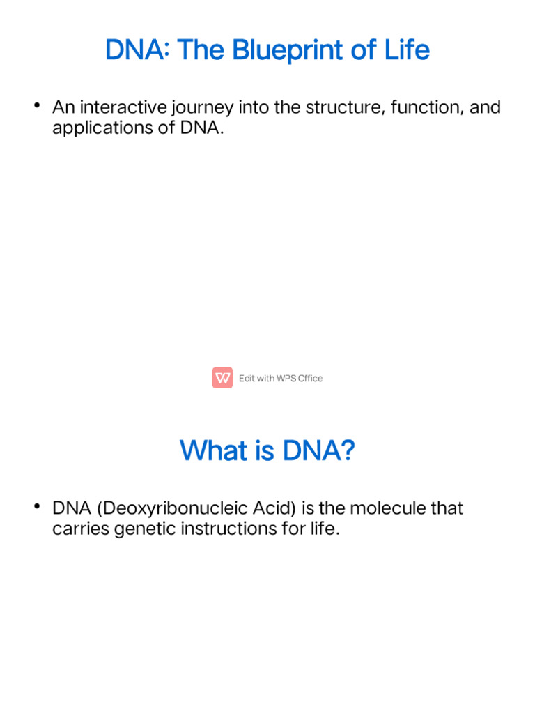 Understanding DNA: Structure & Functions | PDF