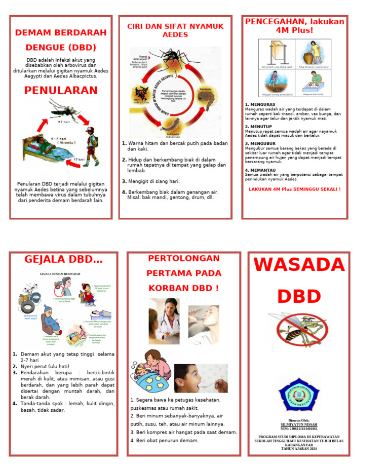 Leaflet DBD Silmi | PDF