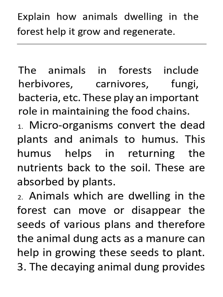 Excercise of Forest Our Lifeline | PDF | Foods | Plants