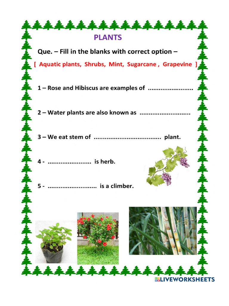 Plants Class 2 Pdf