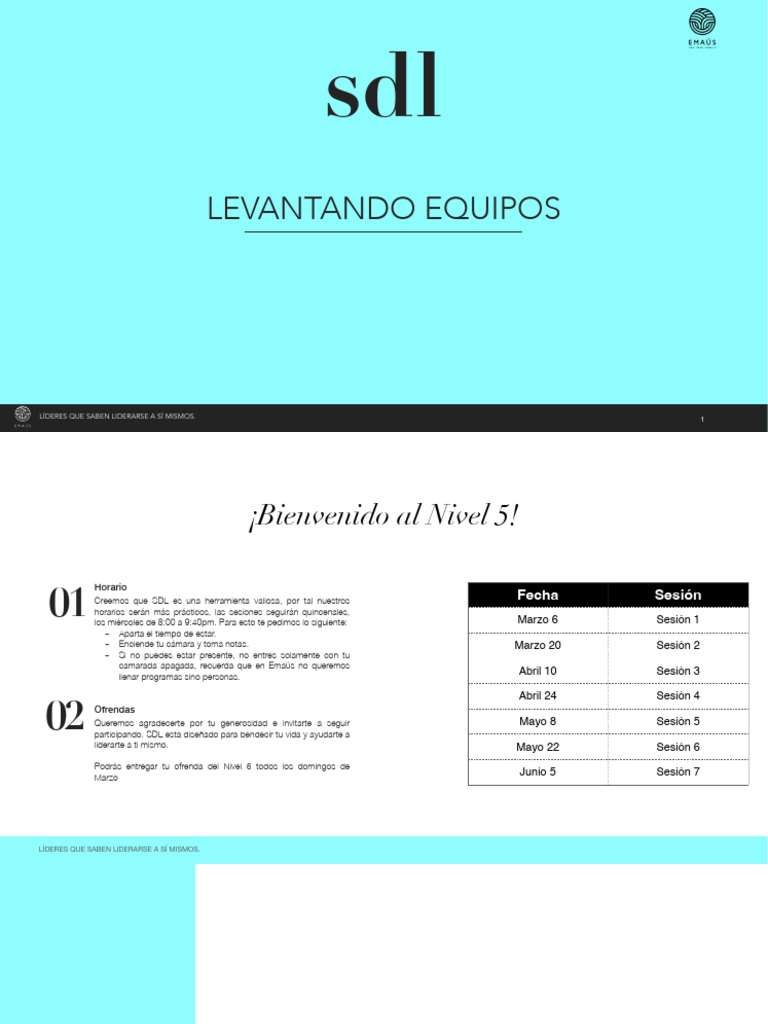 Levantando Equipos - Manual SDL | PDF | Liderazgo | Comportamiento