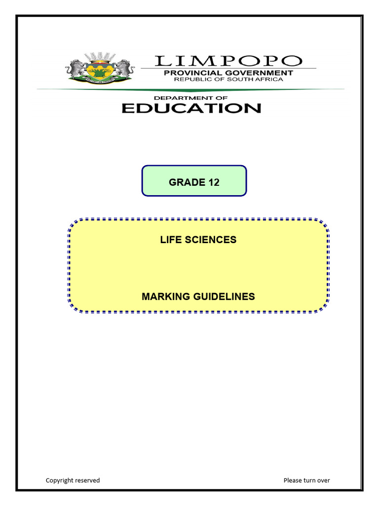 Life Sciences P1 Memorandum | PDF | Menstrual Cycle | Kidney