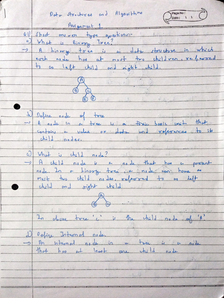 DSA Assignment | PDF