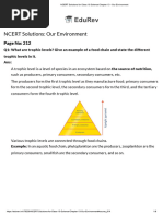 Class 10 Our Environment PYQs Worksheet | PDF | Food Web | Ecosystem
