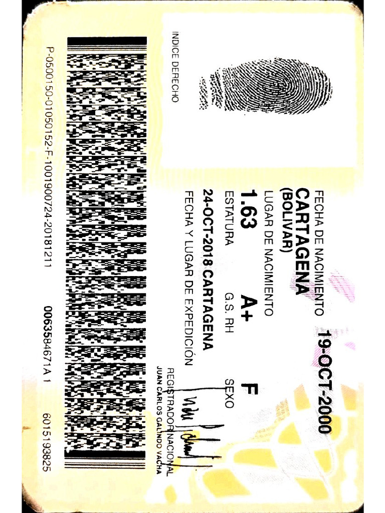 PDF Scanner Documento de Identidad | PDF