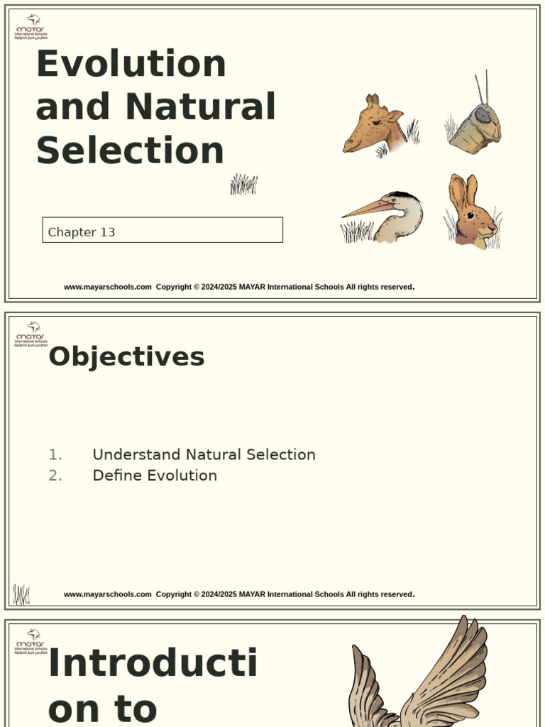 20241205 074535 3143 Evolution and Natural Selection1 | PDF | Natural ...