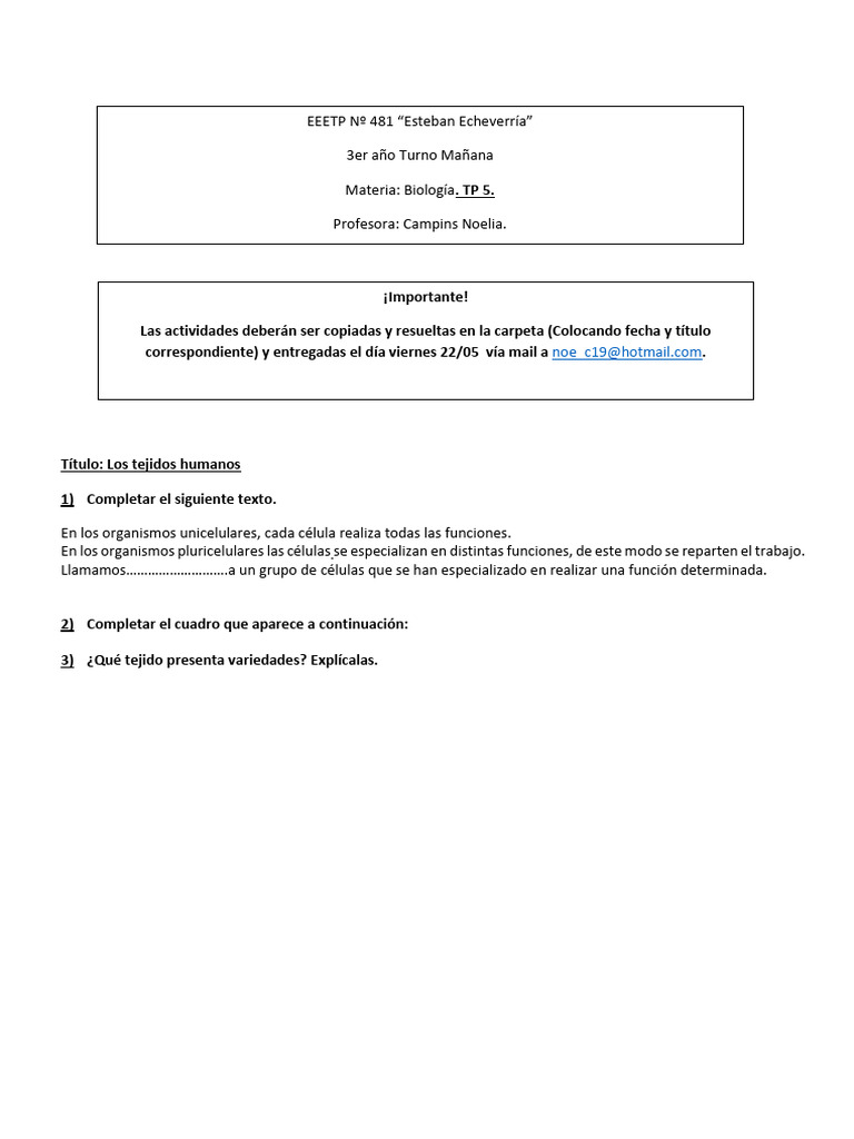 Clase5 3ero481 | PDF