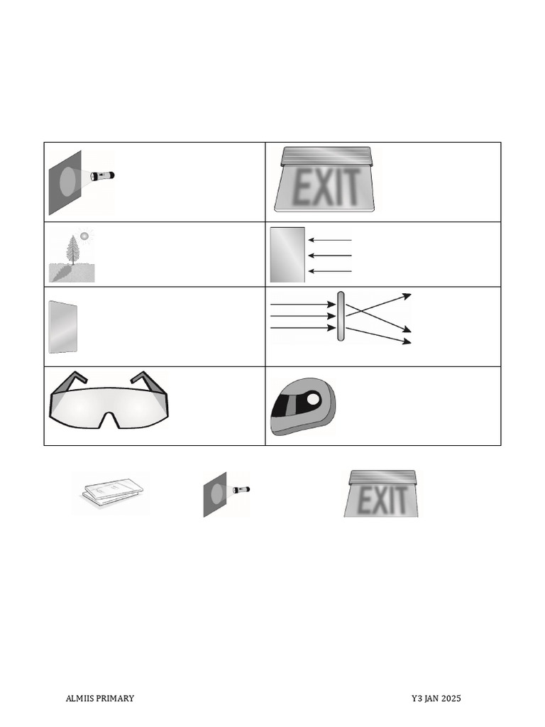 SCIENCE YEAR 3 HOMEWORK JAN 2025 | PDF | Shadow | Light