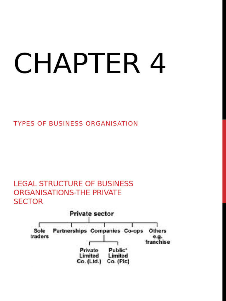 Chap 4 Types of Business Orgnisation | PDF | Franchising | Corporations