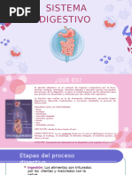 ESÒFAGO (Anatomía, Embriología, Histología y Fisiología) | PDF ...