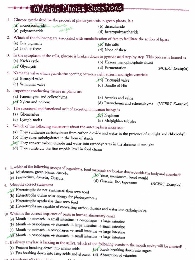 Bio MCQ | PDF | Respiratory System | Reproduction
