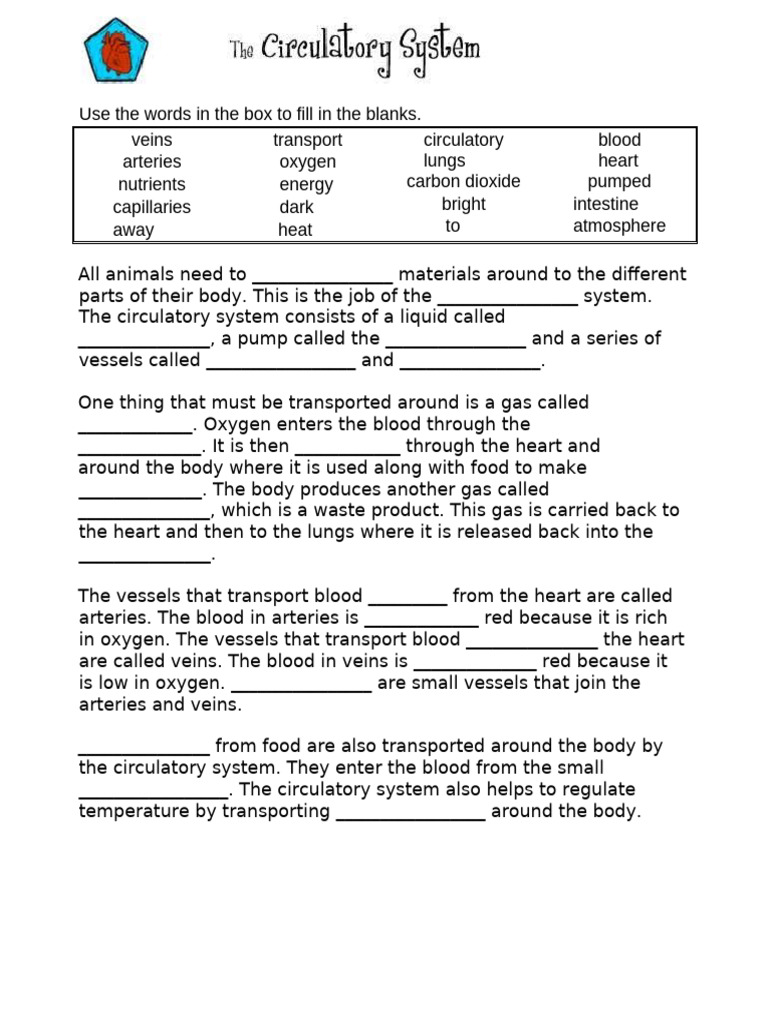 Circulatory System Cloze(1) | PDF