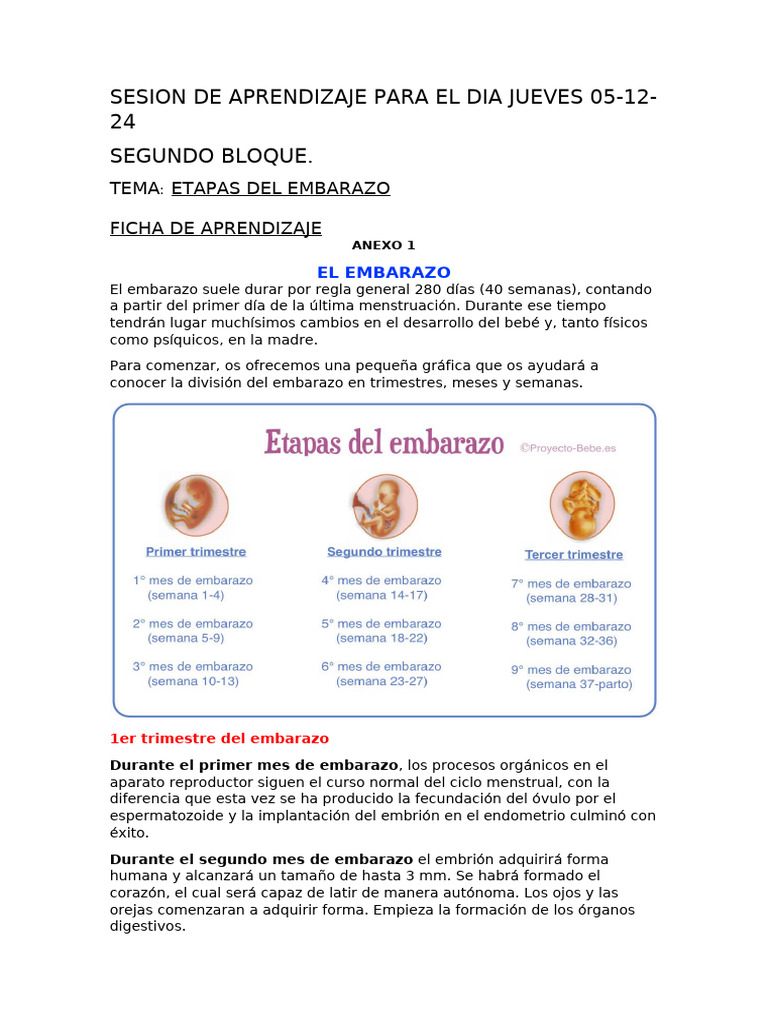 SESION DE APRENDIZAJE ETAPAS DEL EMBARAZO. | PDF | El embarazo | Útero SESION DE APRENDIZAJE ETAPAS DEL EMBARAZO. | PDF | El embarazo | Útero