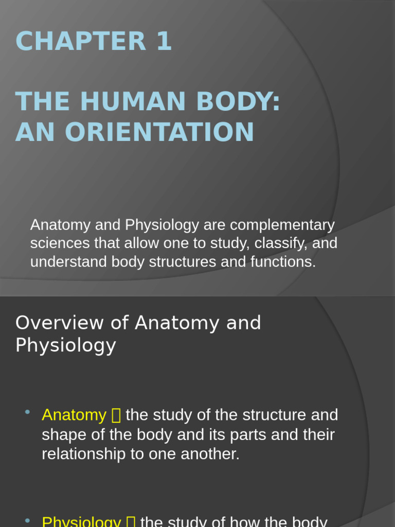 Ch 1 Powerpoint Presentation | PDF | Human Body | Homeostasis