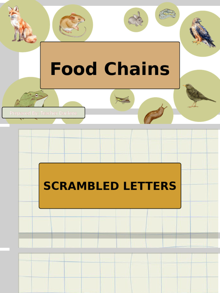 FOOD CHAIN | PDF