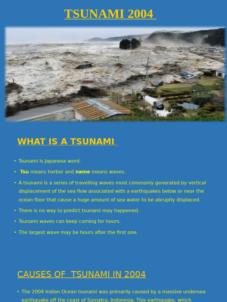 Tsunami 2004 | PDF | Tsunami | Emergency Management