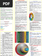 13 Directrices de Cero Tolerencia | PDF | México