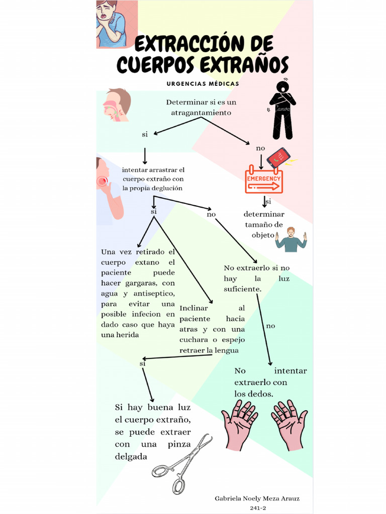 Extracción de Cuerpos Extraños - 241129 - 153214 | PDF