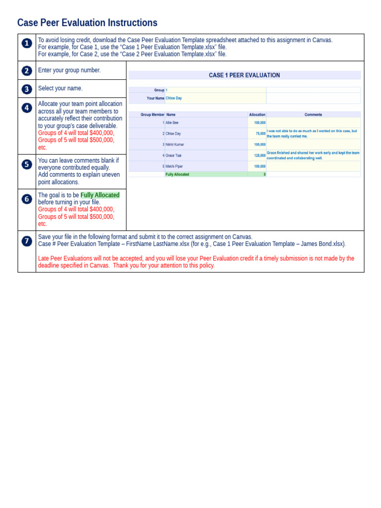 Case Peer Evaluation Instructions | PDF