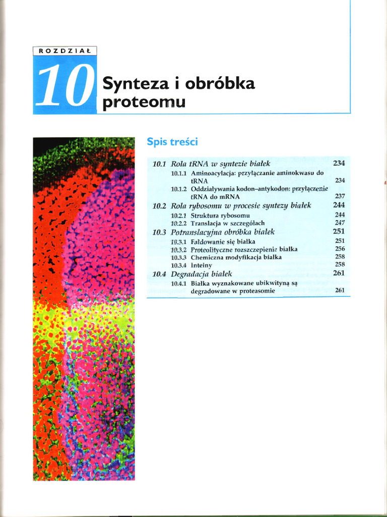 10 - Synteza I Obróbka Proteomu Wykład | PDF