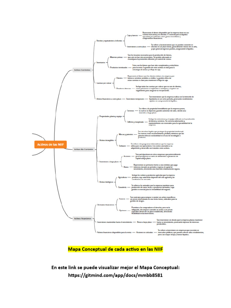 Mapa Conceptual 2C (Activos en la NIIF) | PDF