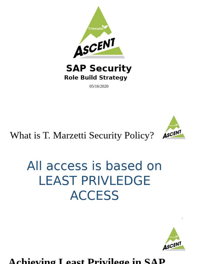 SAP Role Design and Security Strategy | PDF | Accounts Payable | Software