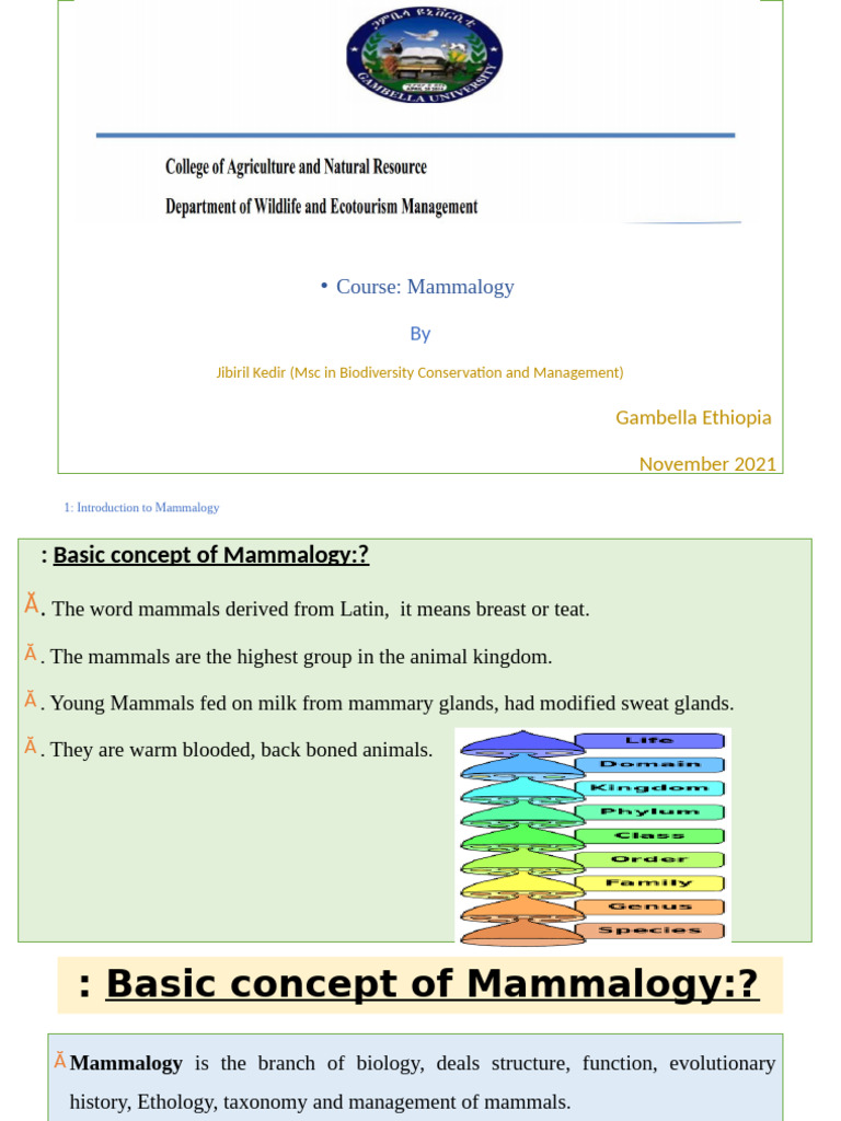 Mammalogy: A Study of Mammals | PDF | Digestion | Integumentary System