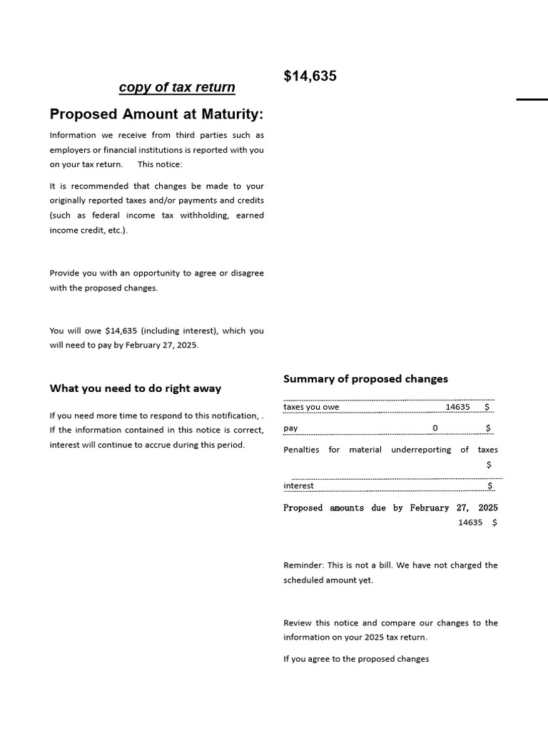 Tax Return | PDF | Public Finance | Taxation