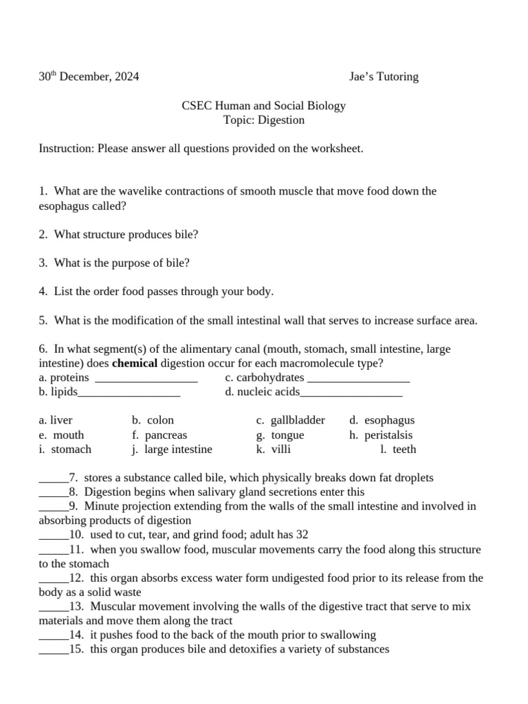 Digestive System Worksheet Guide | PDF | Digestion | Gastrointestinal Tract
