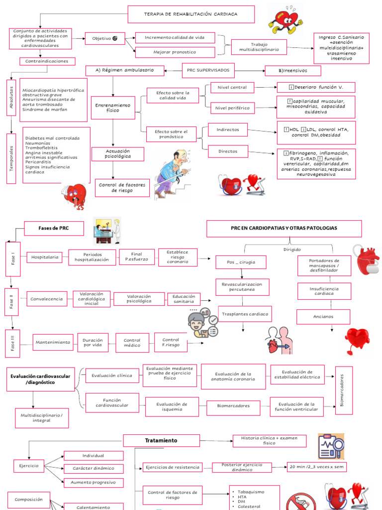 Mapas Rehabilitación Diana Paz Uwu | PDF | Especialidades Medicas ...