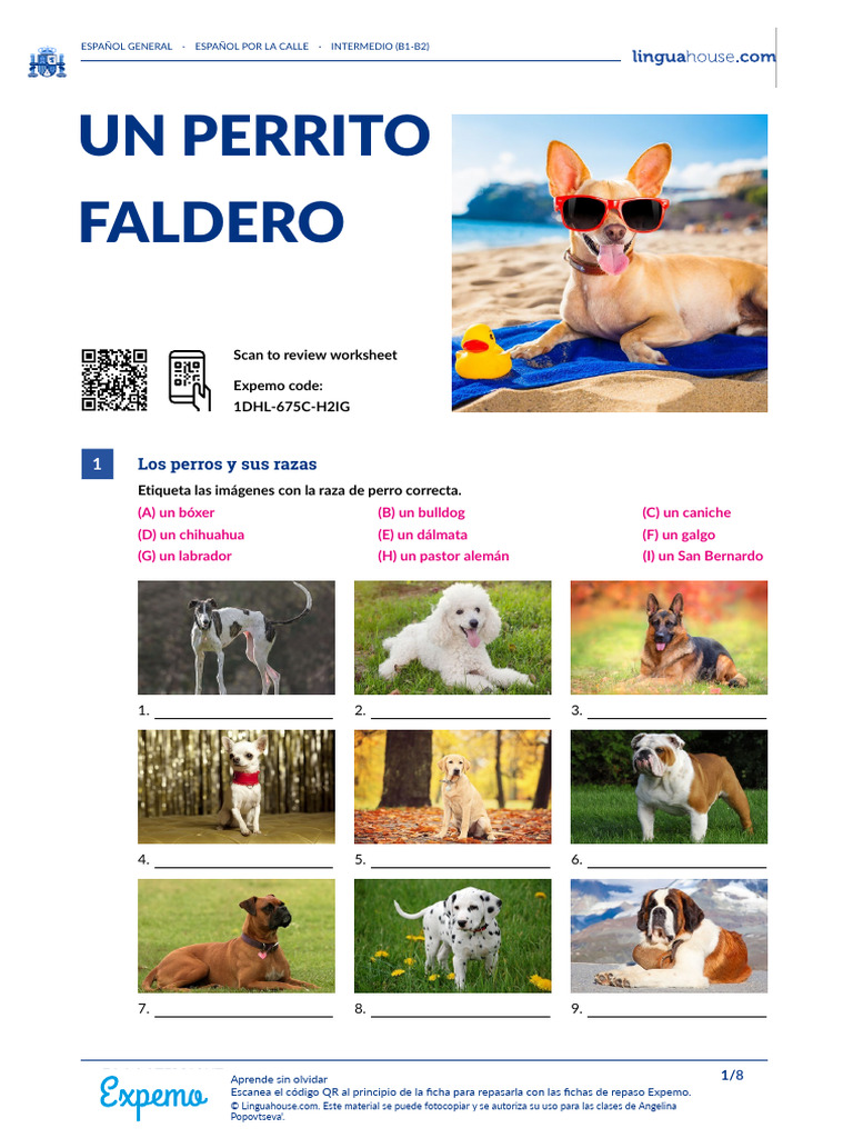 Un Perrito Faldero Castellano Spanish Student | PDF | Perros | Razas de ...