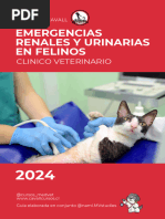 Manejo de la ERC en gatos según IRIS | PDF | Aspirina | Medicamentos ...