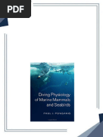 Progression Guide - Official Fisch Wiki | PDF