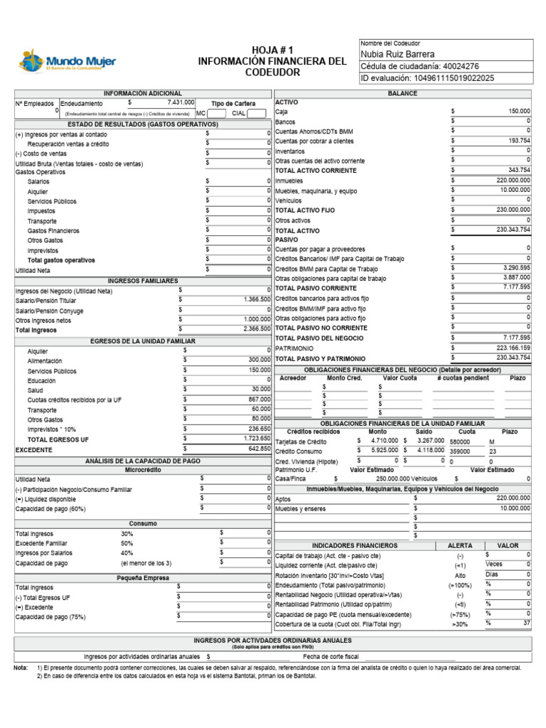 Balance Codeudor 40024276 3328983 4342516 | PDF | Capital de trabajo | Bancos