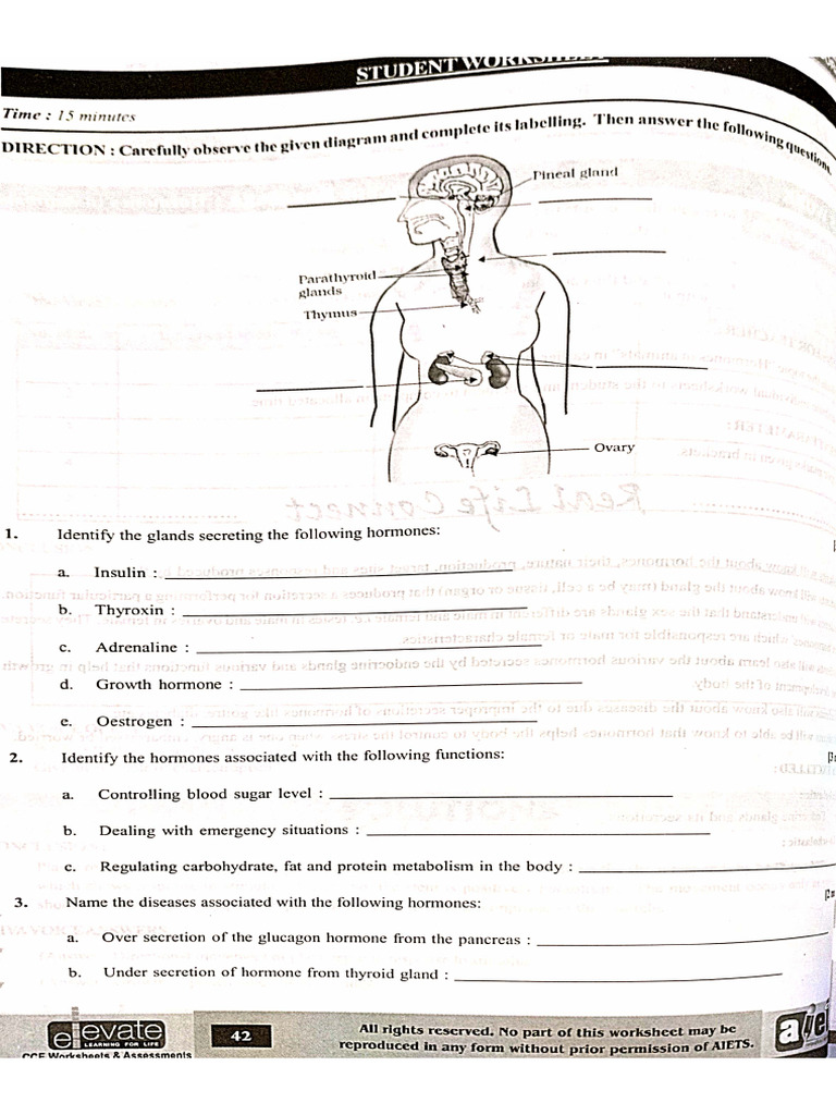 Biology Work Sheet X STD | PDF