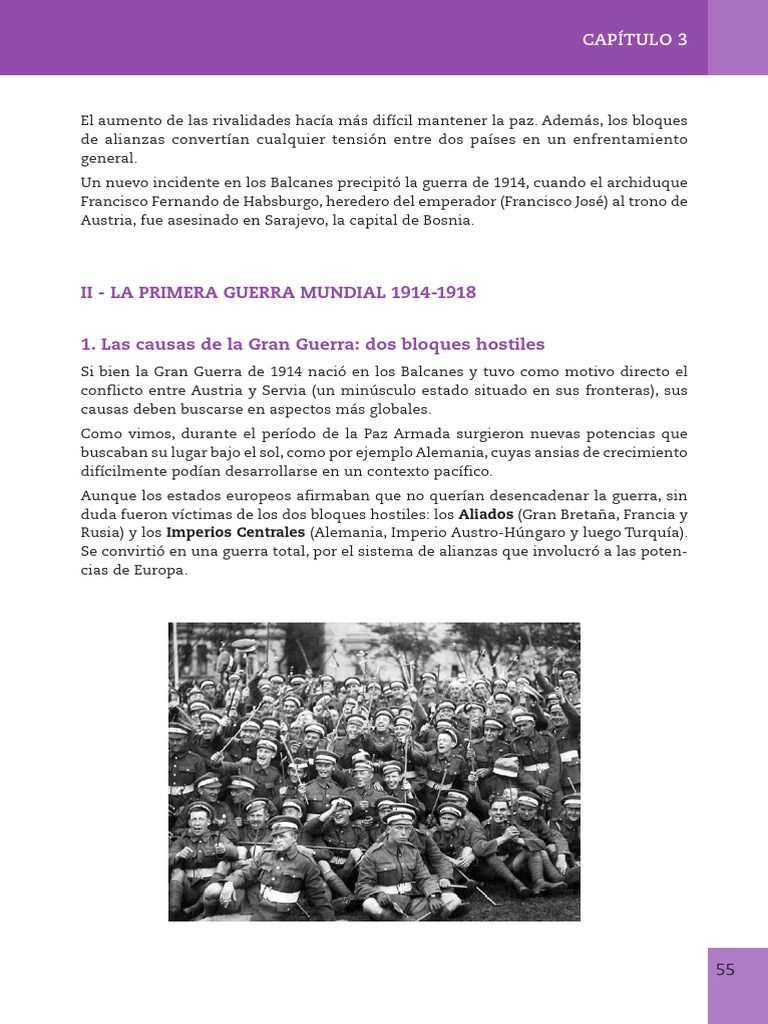 Causas y Desarrollo de la Primera Guerra Mundial | PDF | Austria ...