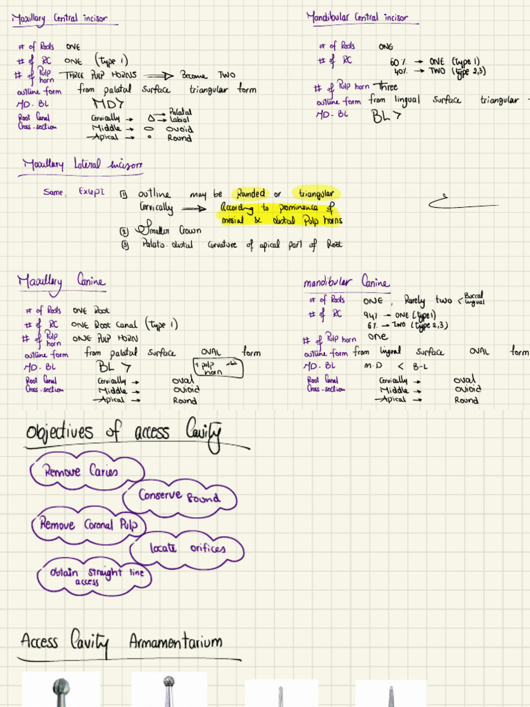 Anterior Teeth Pulp Space Morphology | PDF
