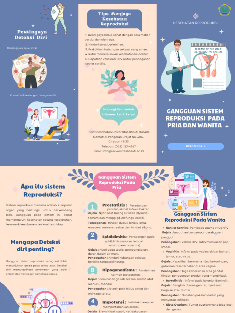 Leaflet Sistem Reproduksi PDF | PDF