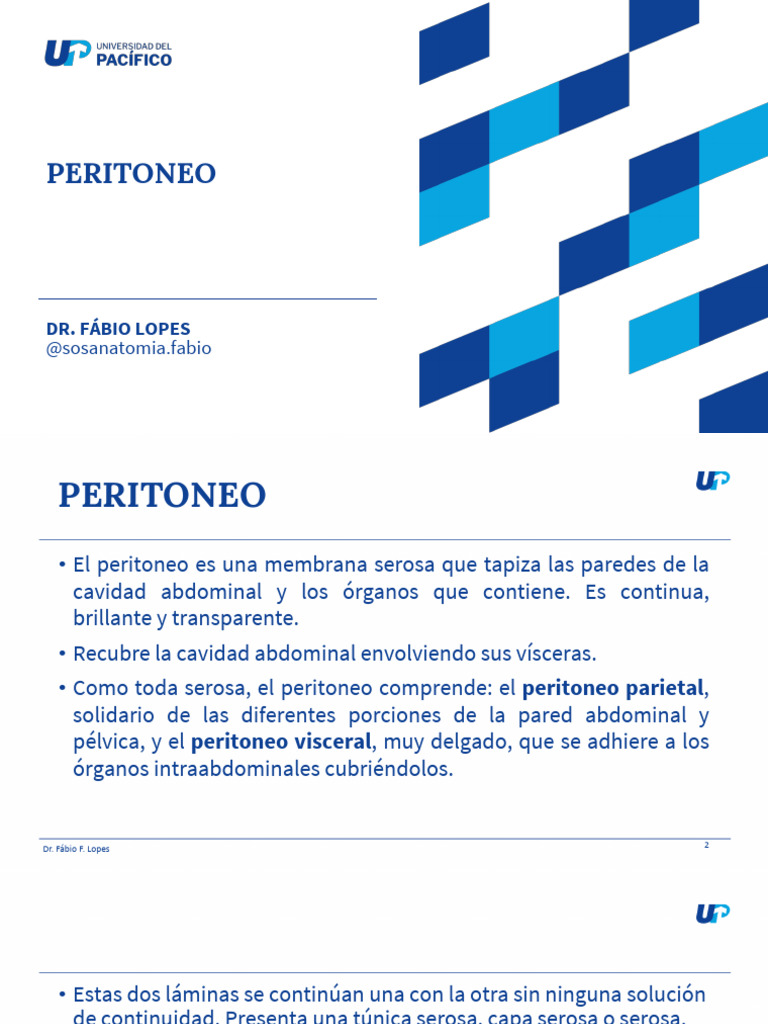 Peritoneo | PDF | Abdomen | Peritoneo