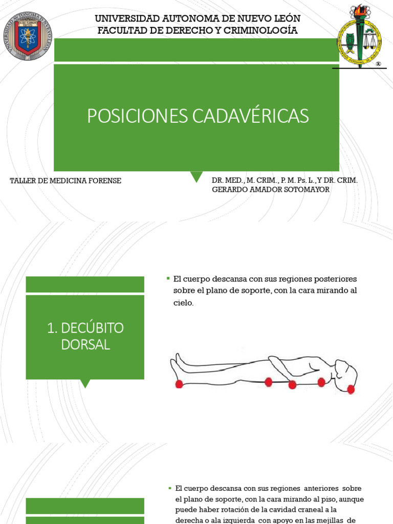 Tema 4.- Posiciones Cadavéricas.- Excell. [Autoguardado] | PDF | Términos anatómicos de ubicación