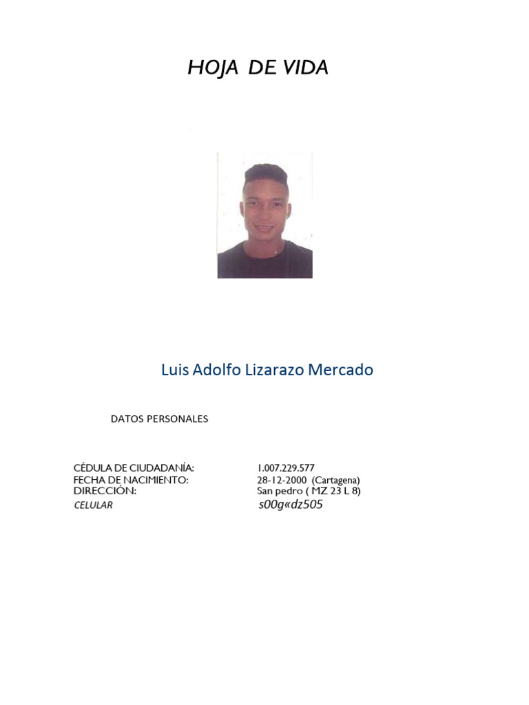 Hoja de Vida de Luis Lizarazo Mercado | PDF