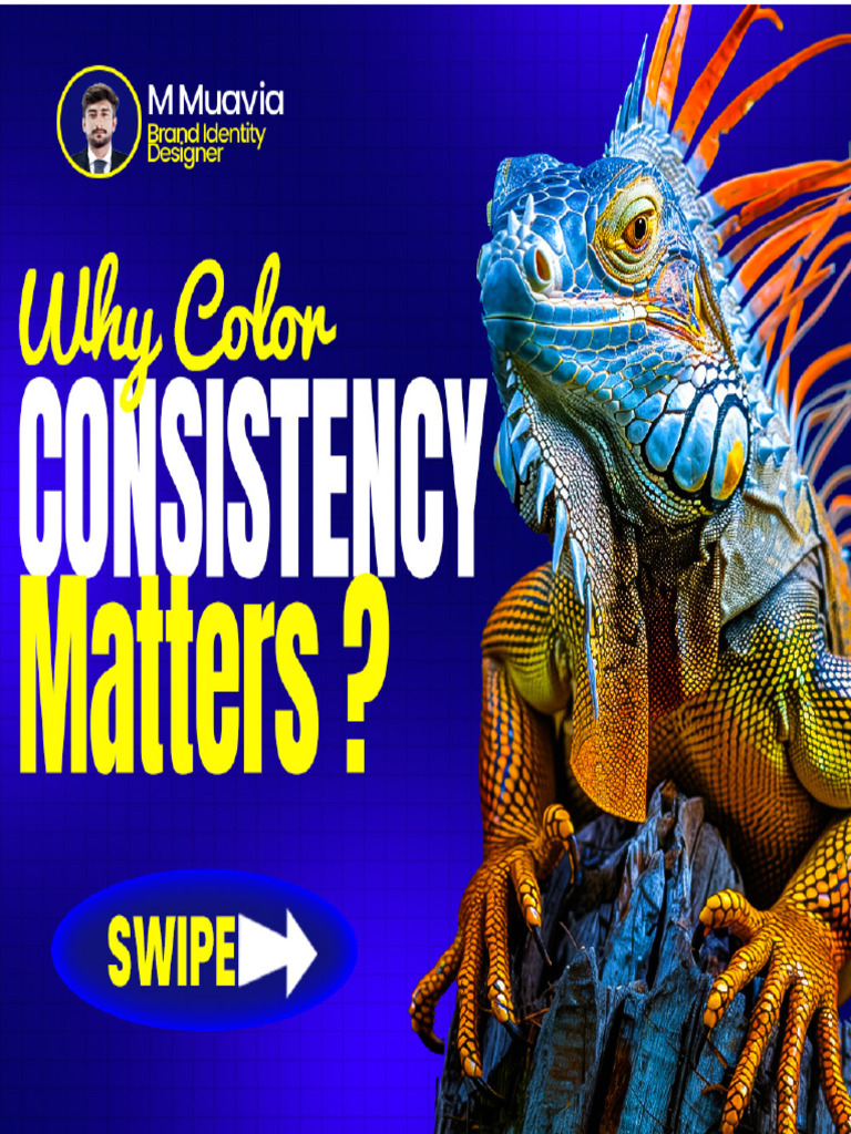 Color Consistency | PDF