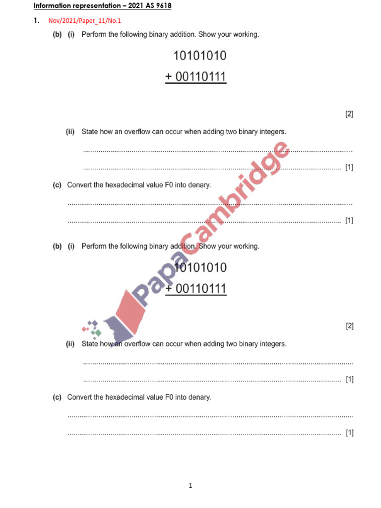 2021 Information Representation AS 9618 | PDF