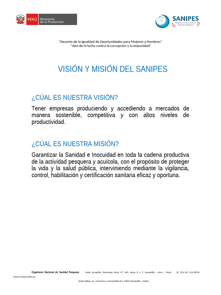 Mision y Vision | PDF