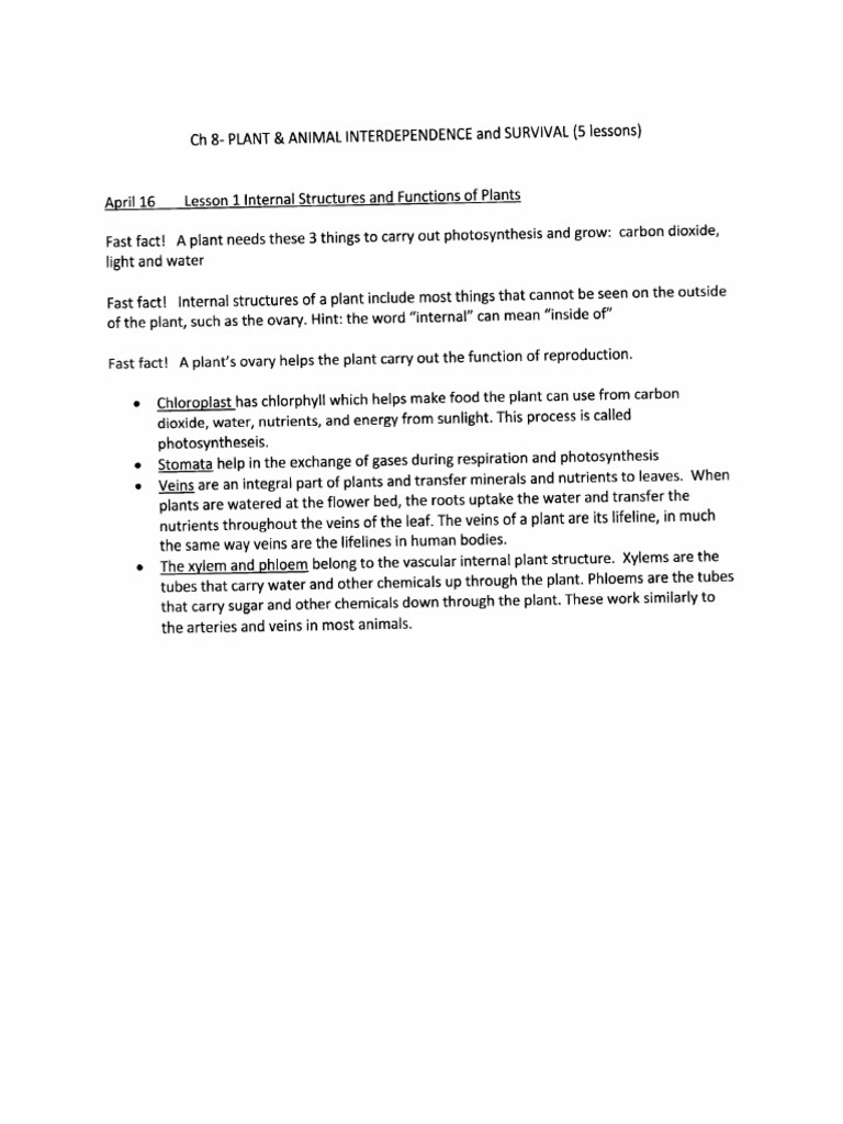 5th S Packet Merged | PDF