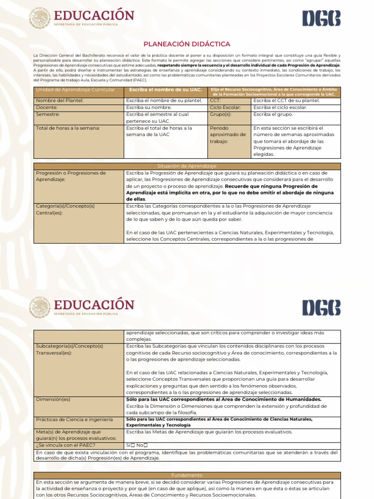 Como Llenar Formato de Planeacion Didactica Nem | PDF | Evaluación | Enseñando