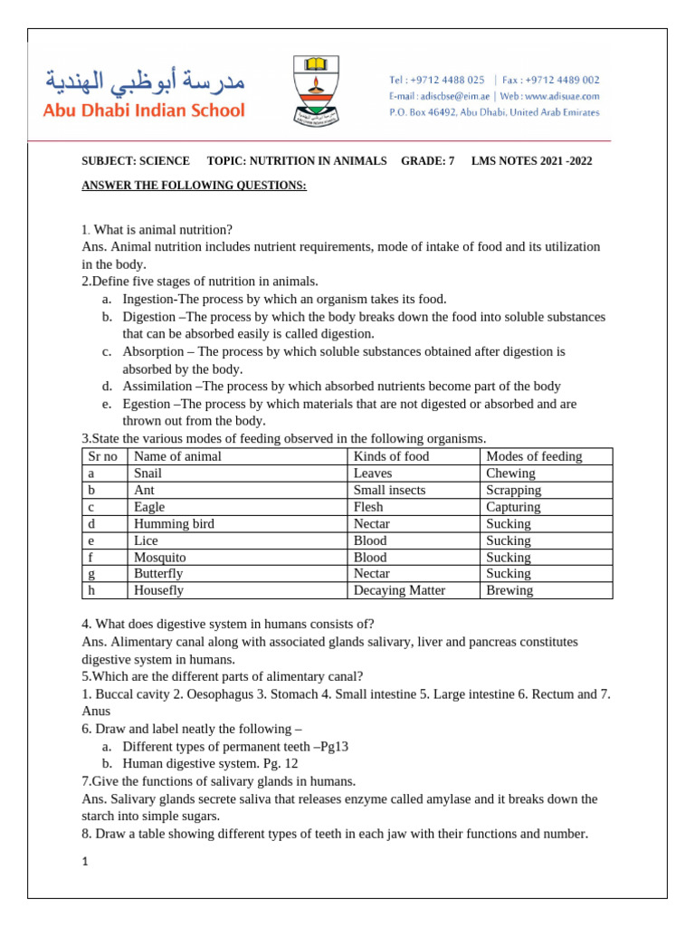 Animal Nutrition: Key Concepts for Grade 7 | PDF | Digestion | Ruminant