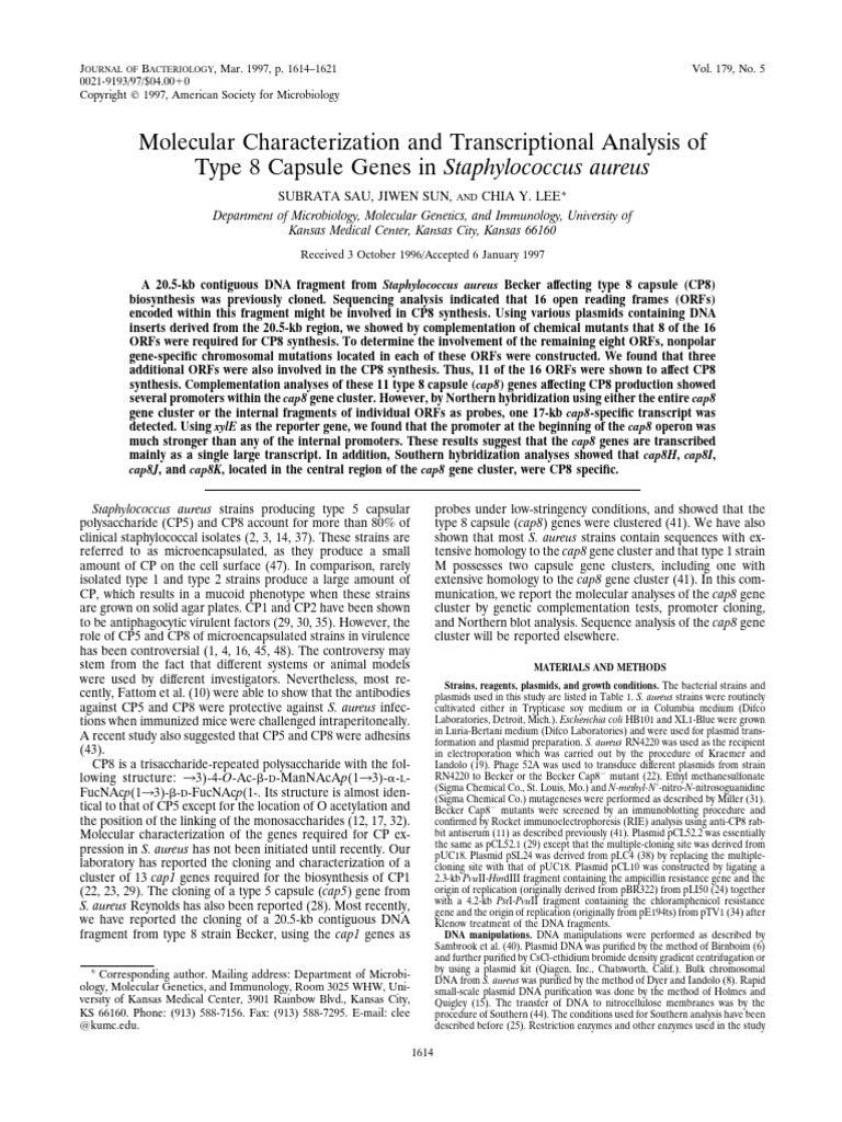 Sau Et Al 1997 Molecular Characterization and Transcriptional Analysis ...